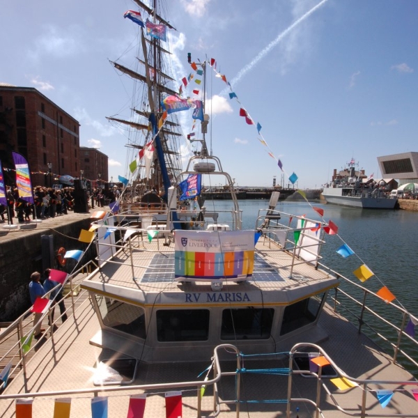 Bunting Flags | Printed Bunting | Indoor Advertising