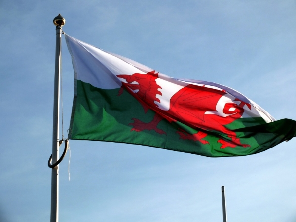 Digitally Printed Flags | Flag Printing | Custom Made Bespoke Flags