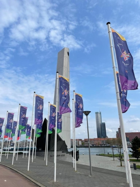 Bespoke Flags | Trade Discounts | Quick Turnaround